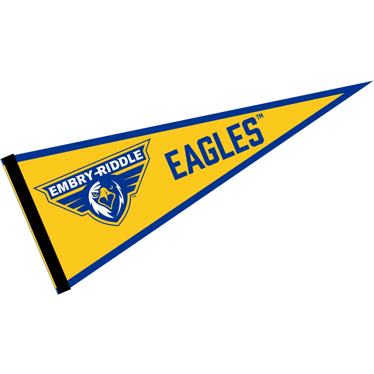 Embry Riddle Logo