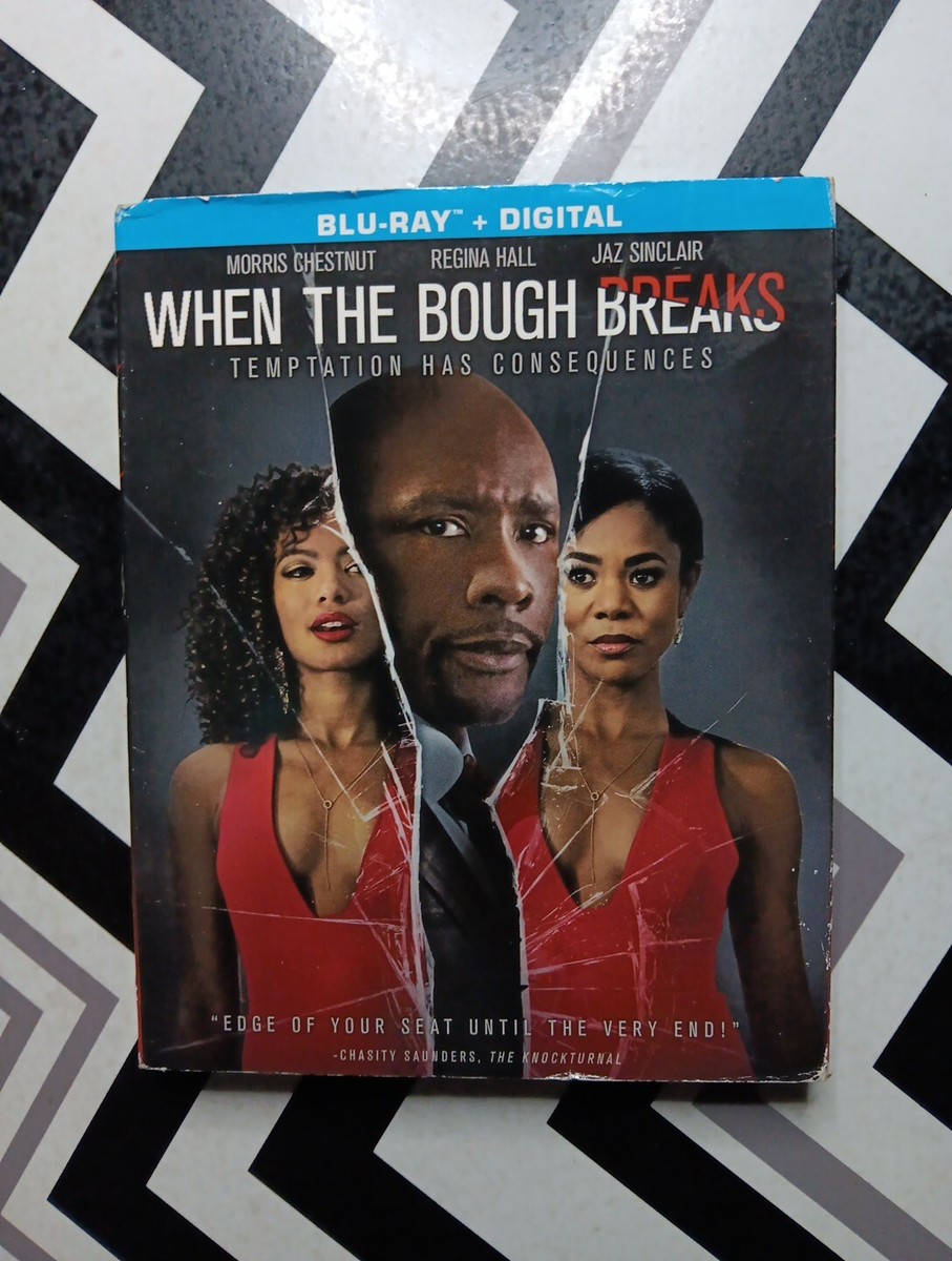 When The Bough Breaks When The Bough Breaks Movie Review (2016)