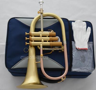 Brushed Flugelhorn Professional Bb Flugel Horn By WEIBSTER Musical New ...