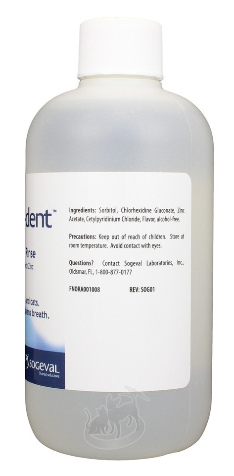 Clenz-a-dent Chlorhexidine Rinse (8 oz) | eBay