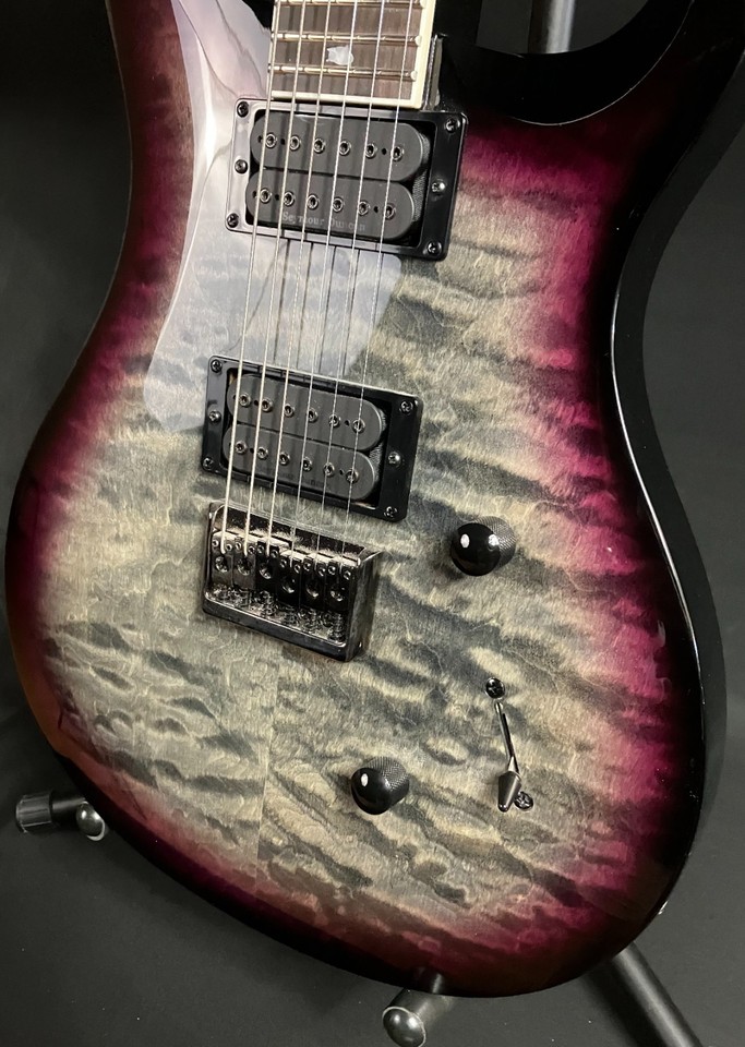 PRS SE Mark Holcomb Signature Electric Guitar Holcomb Burst w/ Gig Bag ...