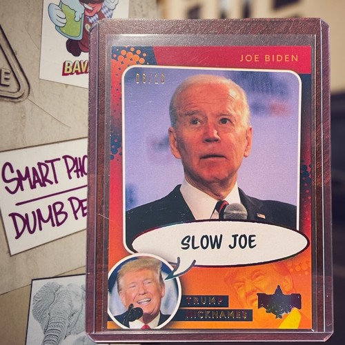 DECISION 2020 TRUMP NICKNAMES SLOW JOE BIDEN RARE RAINBOW 06/10 MAGA ...