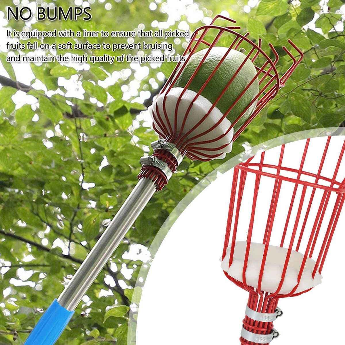 Fruit Picker Basket Stick peach tool fresh with Telescoping Stainless ...