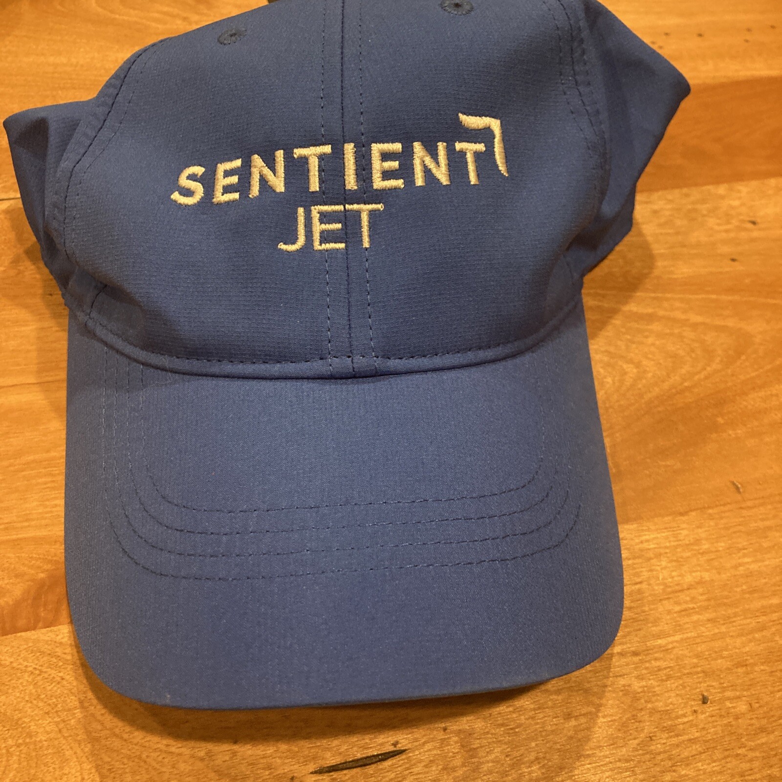 NIKE GOLF SENTIENT JET BALL CAP BLUE NEW W TAGS ADJUSTABLE | eBay