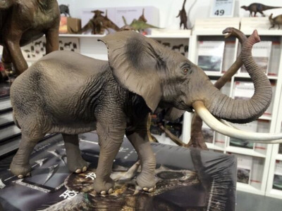 PNSO African Elephant wild life realistic large Model toy scientific ...