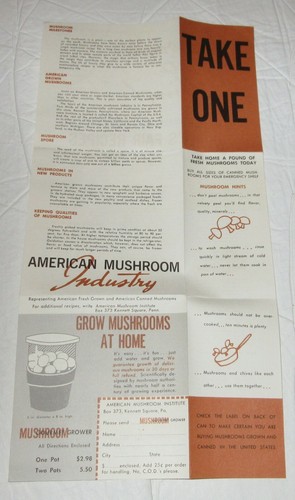 VINTAGE American Mushroom Industry brochure recipes Susan Adams 1961 ...