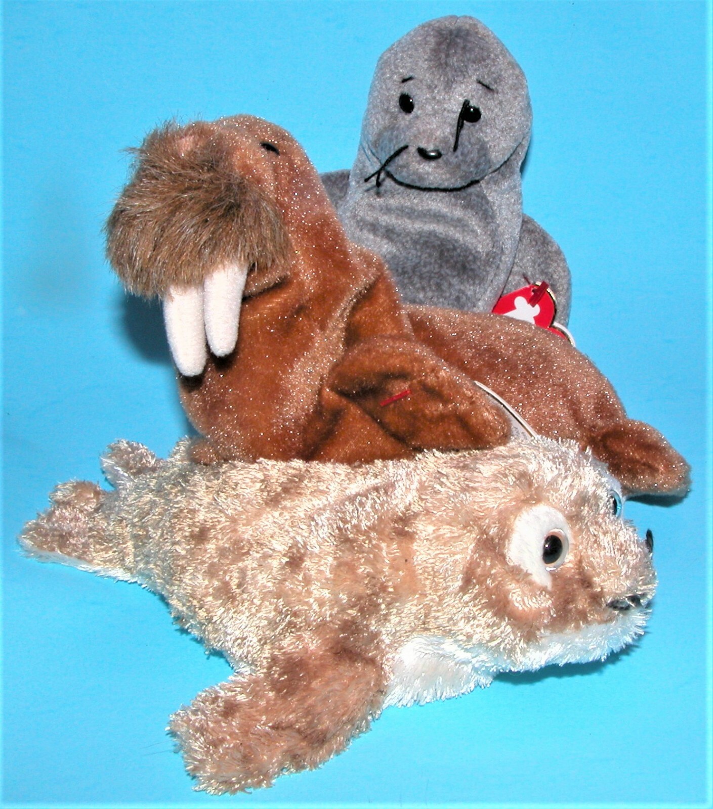 TY, Ocean Beanie Babies, 3 pc. set w 2 seals & walrus NEW "Slippery ...