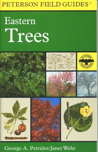 A Peterson Field Guide To Eastern Trees: Eastern United States and ...