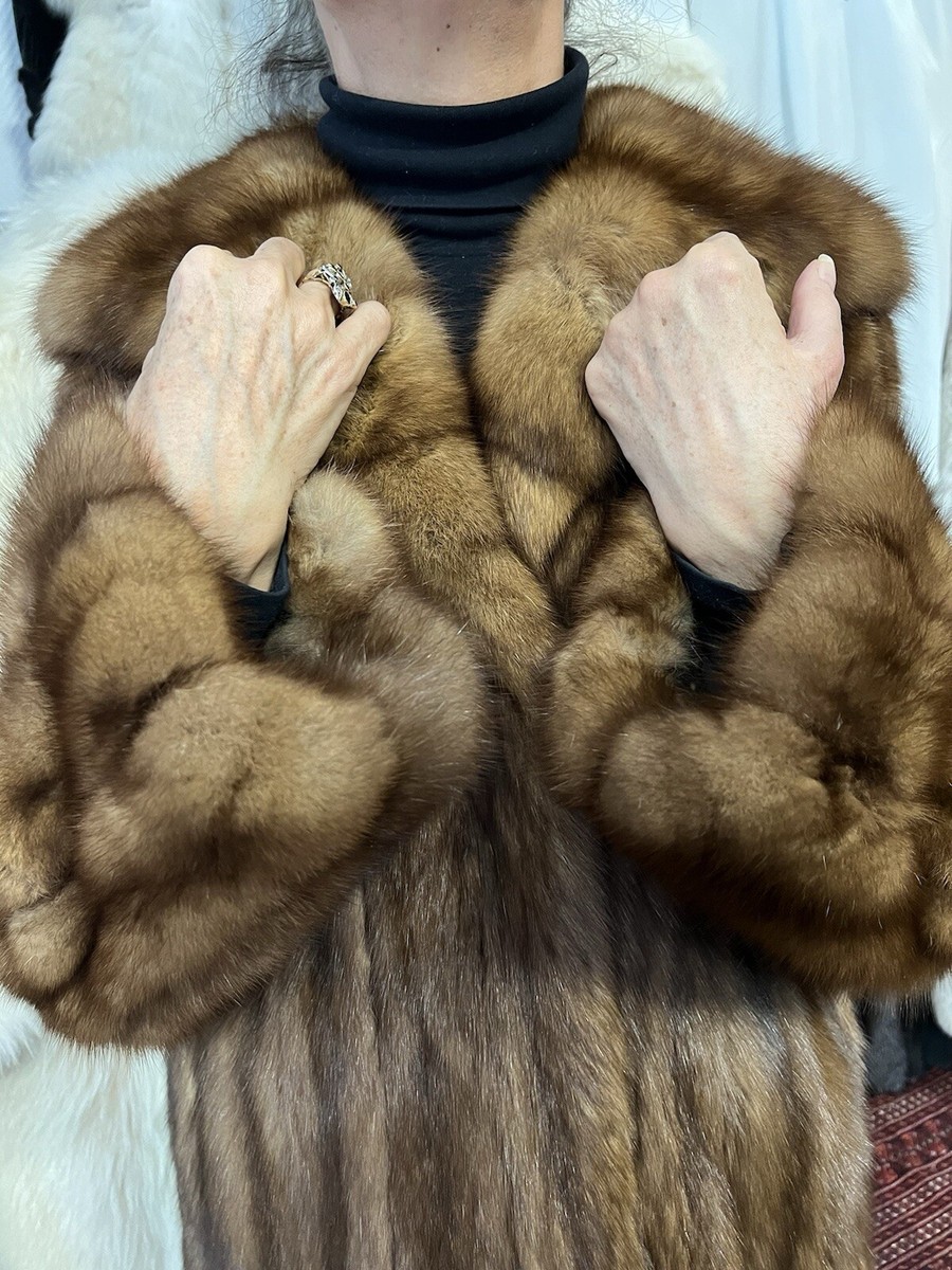 Furetto Zibellino Scuro