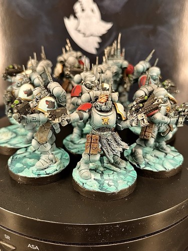 Warhammer 40k Army Space Marines Space Wolves Pro Painted 10x ...