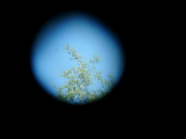 Carl Zeiss Jena German WW1 Binoculars 6x24 with K Spandau rifle ...