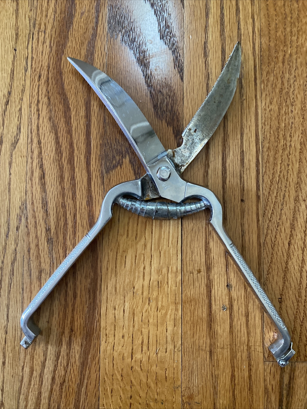 Vintage Poultry Scissors Shears Betakut Italy Hot Dropped Forged Steel ...