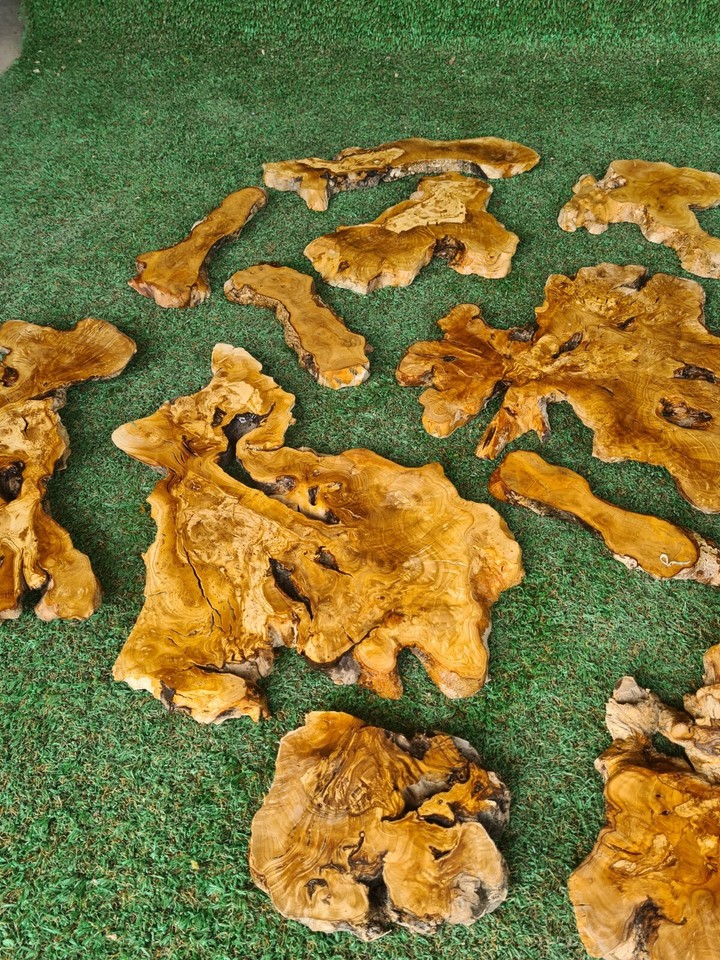 5 Kg / 11 Lbs Natural Burl Olive Wood Slices Set, Raw Edge Olive Wood ...