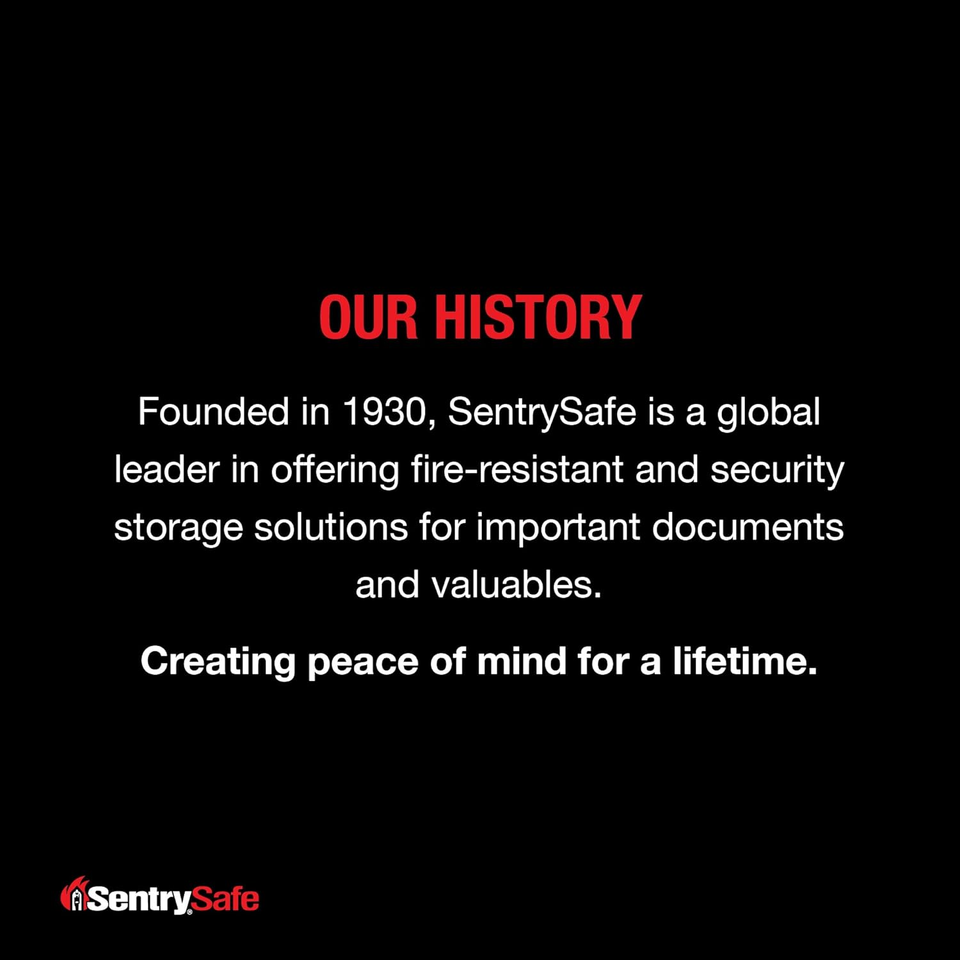 Sentry Safe Black Fireproof and Waterproof Safe, File Folder and ...