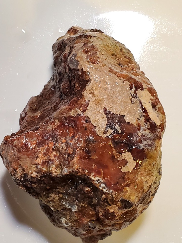 Rare Banded Fortification Plume Laguna Agate Rough Nodule Mexico 694g ...