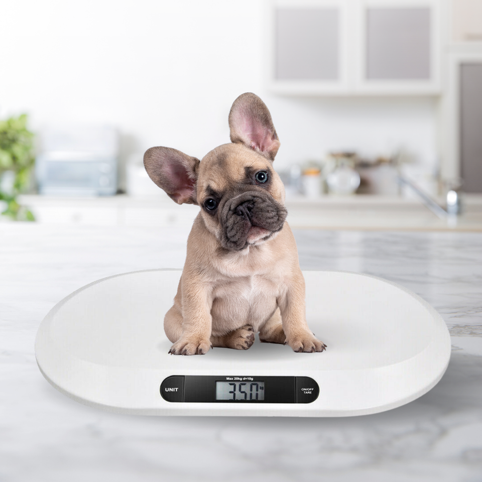 Digital Pet Weighing Scales Puppy Electronic Pet Kitten Bathroom 20kgs ...