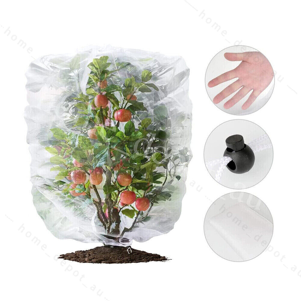 AU Fruit Fly Net Insect Mesh Vegetable Garden Plant Crop Protection ...