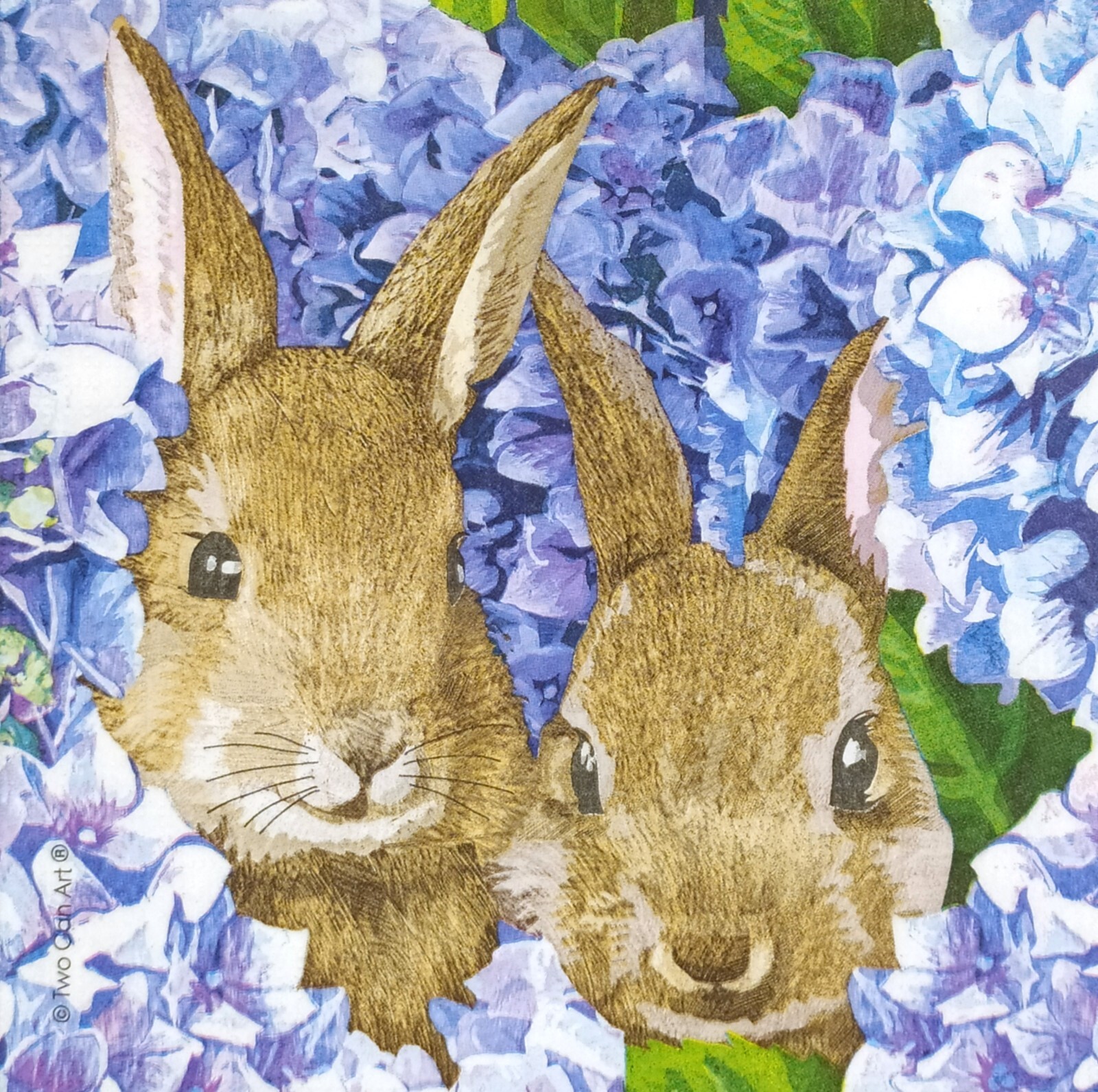 S781# 3 x Single SMALL Paper Napkins For Decoupage Two Bunny Hares In ...