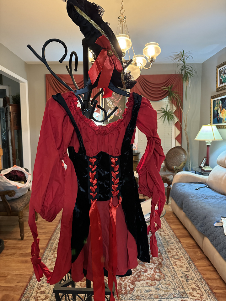 Halloween Costume Vixen Pirate Wench | eBay