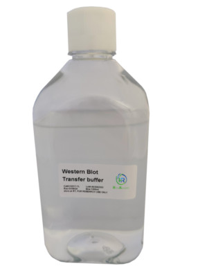 Western Blot Transfer Buffer, 500mL | eBay