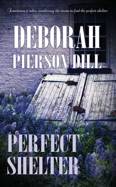 Perfect Shelter von Deborah Pierson Dill (2010, Taschenbuch) online ...