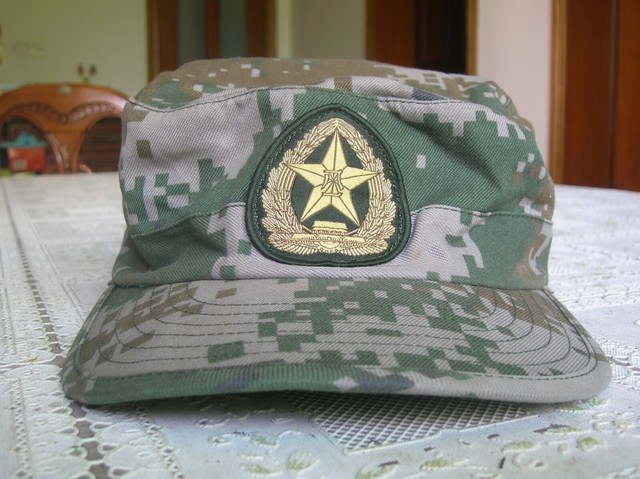 used 07's China PLA Woodland Digital Camo Combat & Training Cap,Hat ...