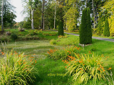 Photo 12x8 Pond beside the drive to Newhall House, Black Isle Balblair ...