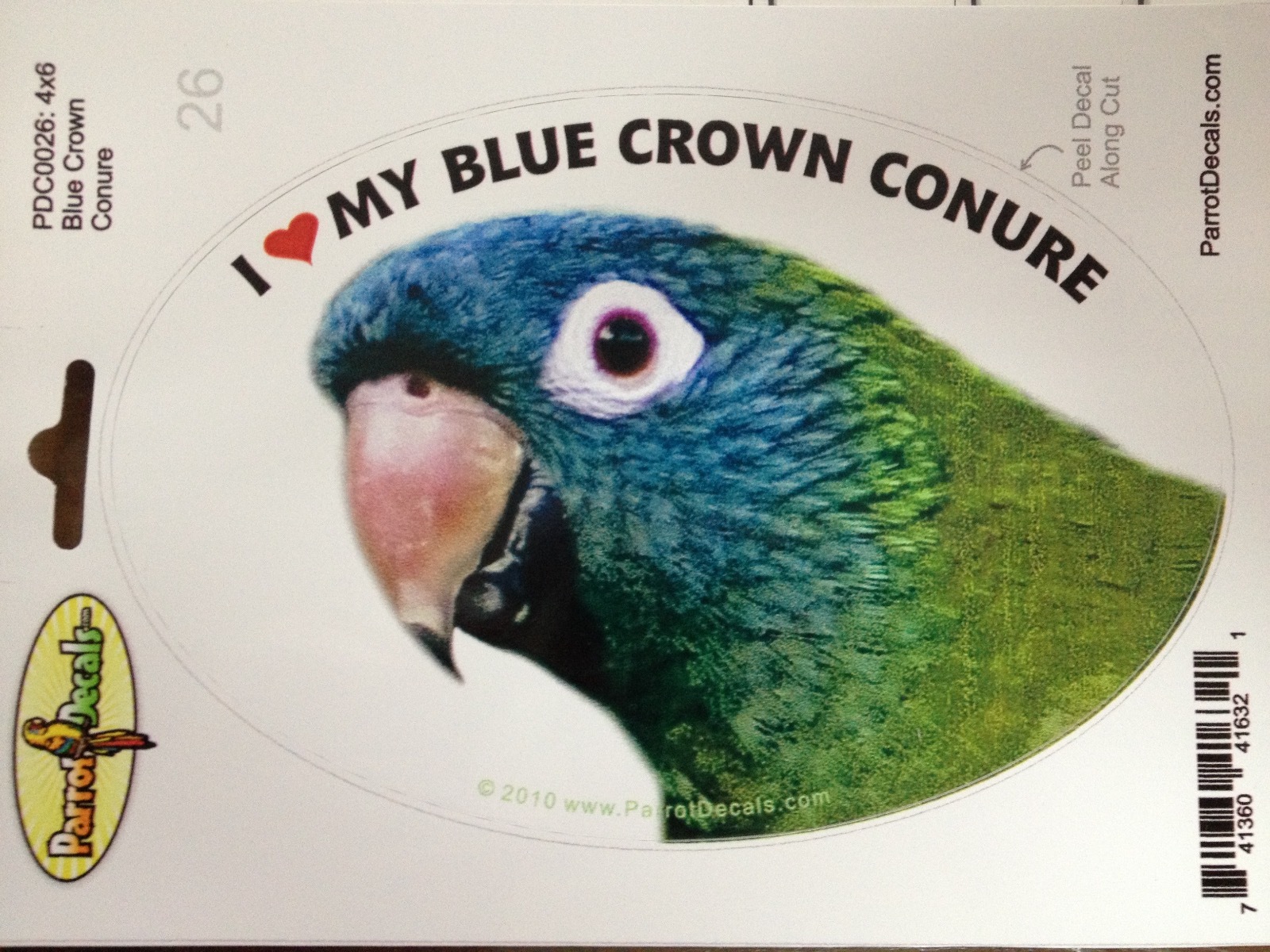 Blue Crown Conure Parrot Exotic Bird Vinyl Decal Bumper Sticker | eBay