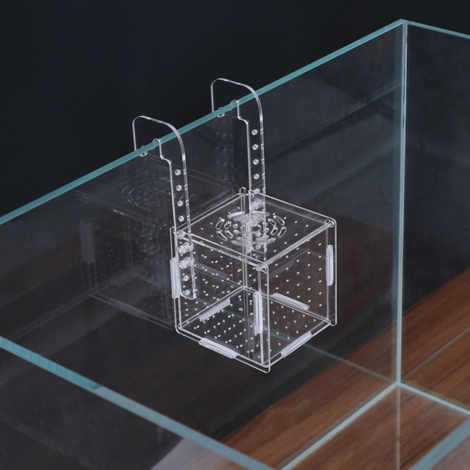 Fish Tank Holder Breeding Isolation Box Aquarium Hatchery Incubator ...