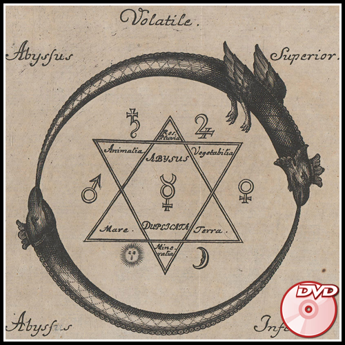 ALCHEMY - Occult - Old Rare Books - Ramon Llull Albertus Magnus others ...