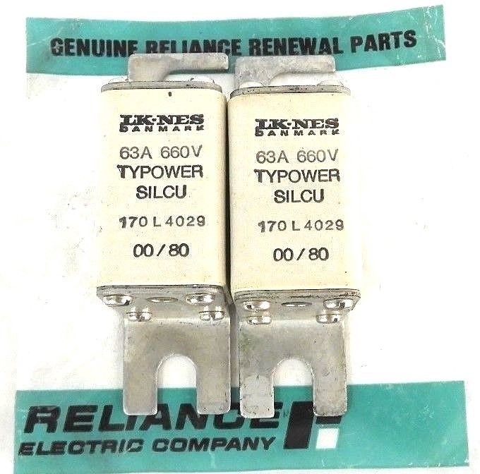 LOT OF 2 NEW LK-NES DANMARK 170L4029 TYPOWER SILCU 60A 660V FUSE 170-L ...