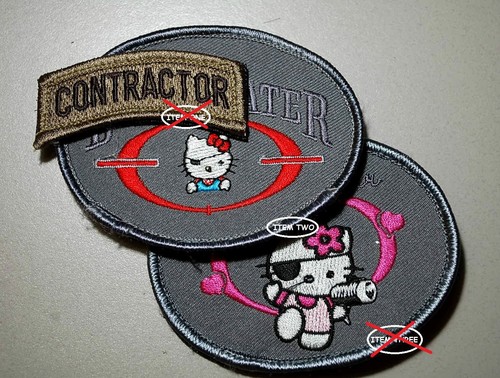 IRAQ GOVERNOR BREMER PRIVATE SECURITY CONTRACTOR DETAIL SSI: Hello ...