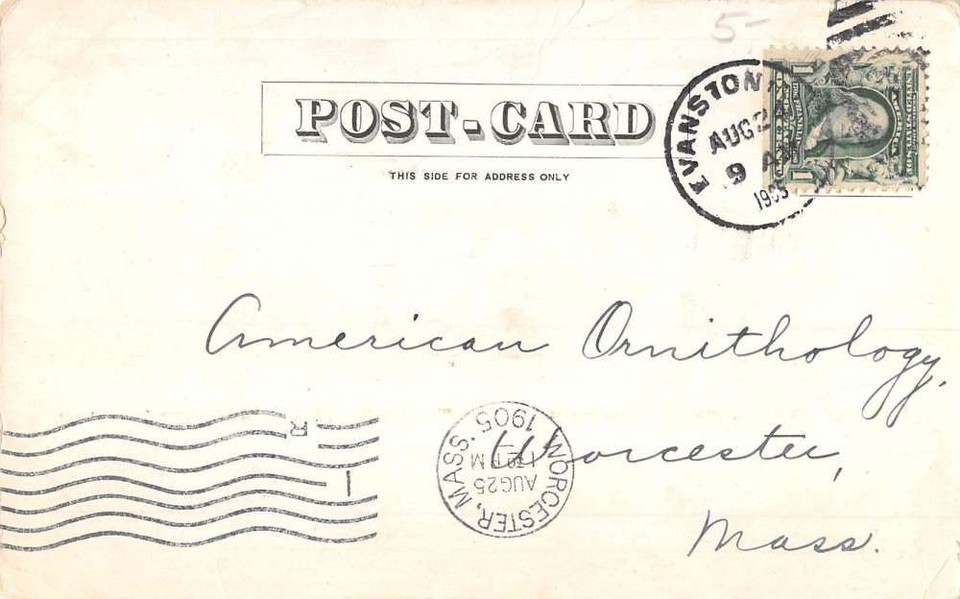 Evanston Indiana Sheridan Road Scenic View Antique Postcard K104355 | eBay