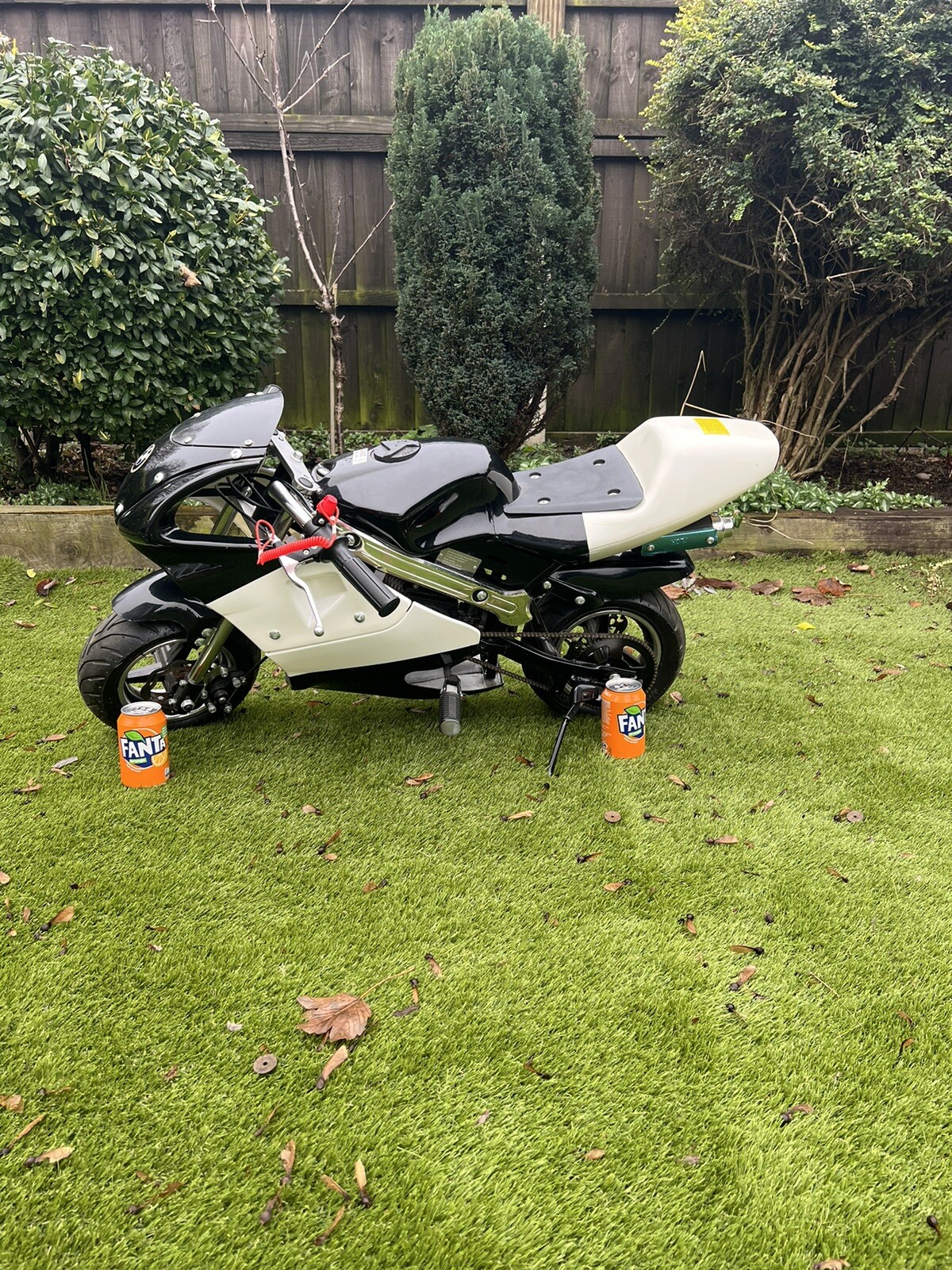Mini Moto 50cc Mini Racing Motorbike | eBay UK