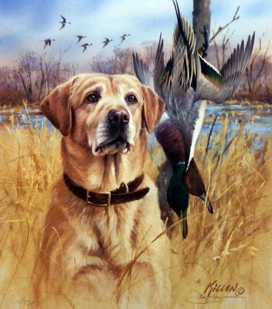 Yellow Lab Hunting Painting