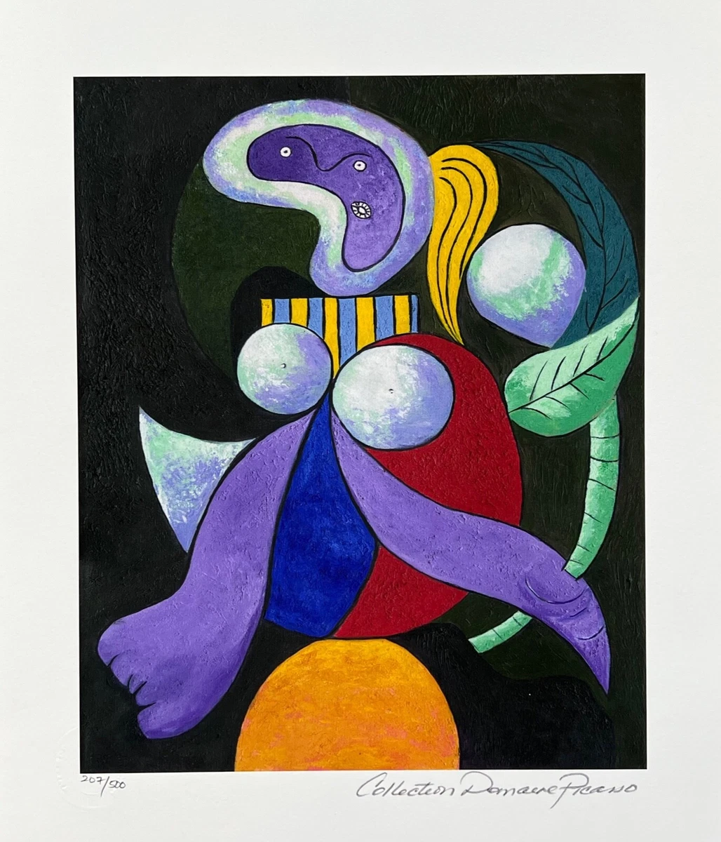 Picasso Flower Paintings