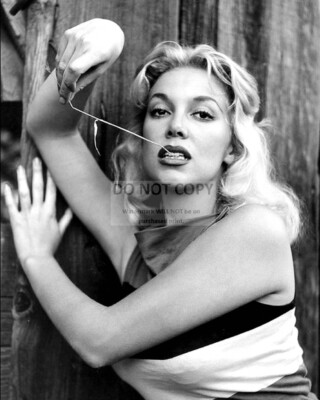 SALLY TODD ACTRESS AND MODEL - 8X10 PUBLICITY PHOTO (FB-819) | eBay