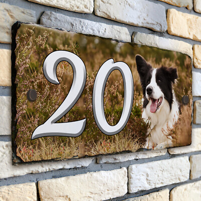 Border Collie House Number Slate Name Gate Sign Plaque Door ...
