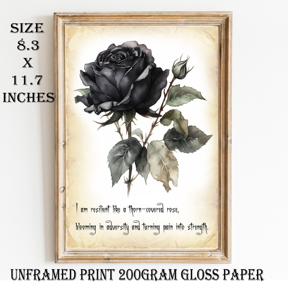 Black Rose Quotes