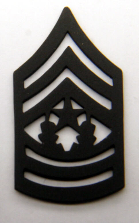 US ARMY COMMAND SERGEANT MAJOR E9 CSM BLACK COLLAR HAT PIN SG RANK ...