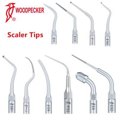 Woodpecker EMS Dental Ultrasonic Piezo Scaler Perio Tips G1 E10 P1 G2 ...
