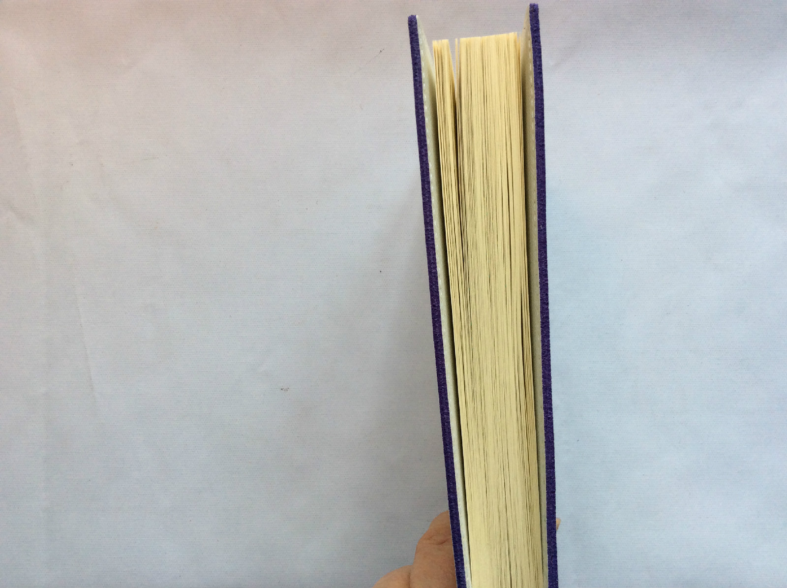 Pinetti Osaka notebook refillable 12X16,5 White/purple | eBay