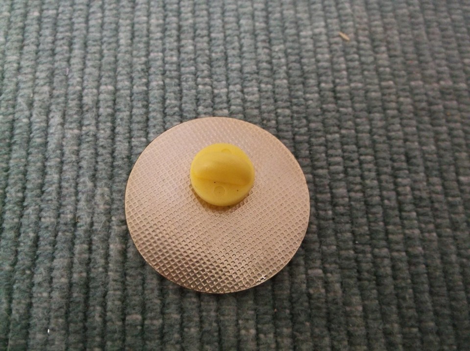 Pyramid #9 Milford, CT Barry S. Ronner Potentate 2009 Lapel Pin | eBay