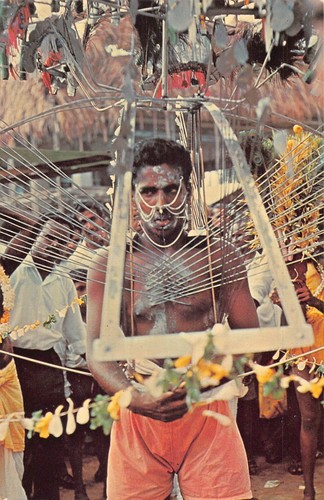 B025 Singapore Thaipusam Festival Native Man Caring Kadavi Ethnic ...