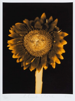 CHUCK CLOSE 'Sunflower', 2006/2011 SIGNED Photograph 24 x 18 in. #32/60 **NEW** | eBay