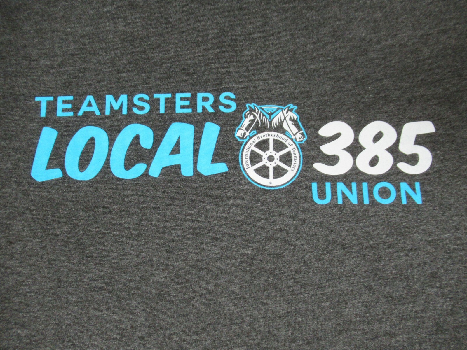 Teamsters Logo 222