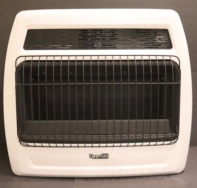 Dyna-Glo BFSS30LPT-2P 30000 BTU Liquid Propane Blue Flame Thermostatic ...