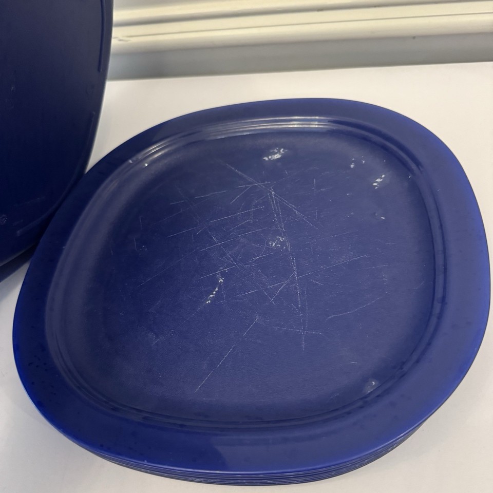 Tupperware Microwave Reheatable Luncheon Plates Tokyo Blue 9.5 inch Set ...