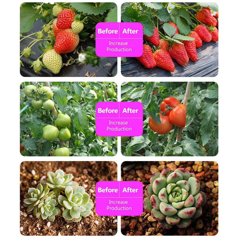 5M LED Phyto Lamp 5W LED Grow Light Strip 2835 SMD for Indoor ...