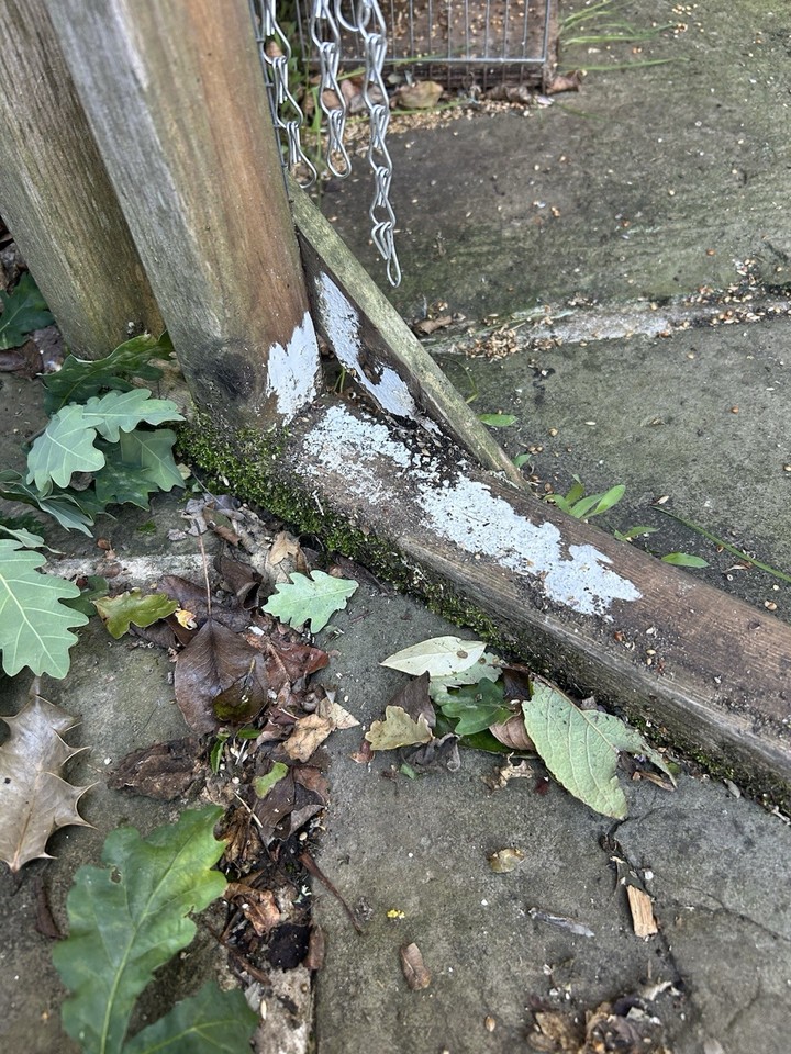 Hexagonal 5ft Aviary. Outdoor Bird House With Nest box | eBay UK